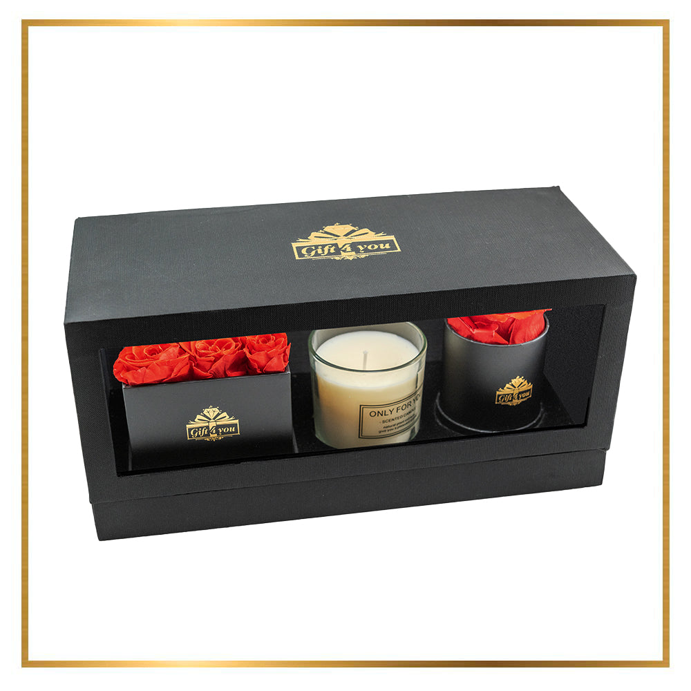 Instagram Facebook TikTok